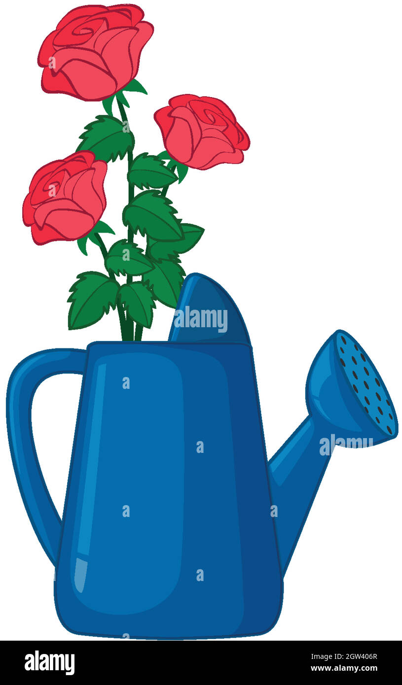 Roses in watering can cartoon style on white background Stock Vector ...