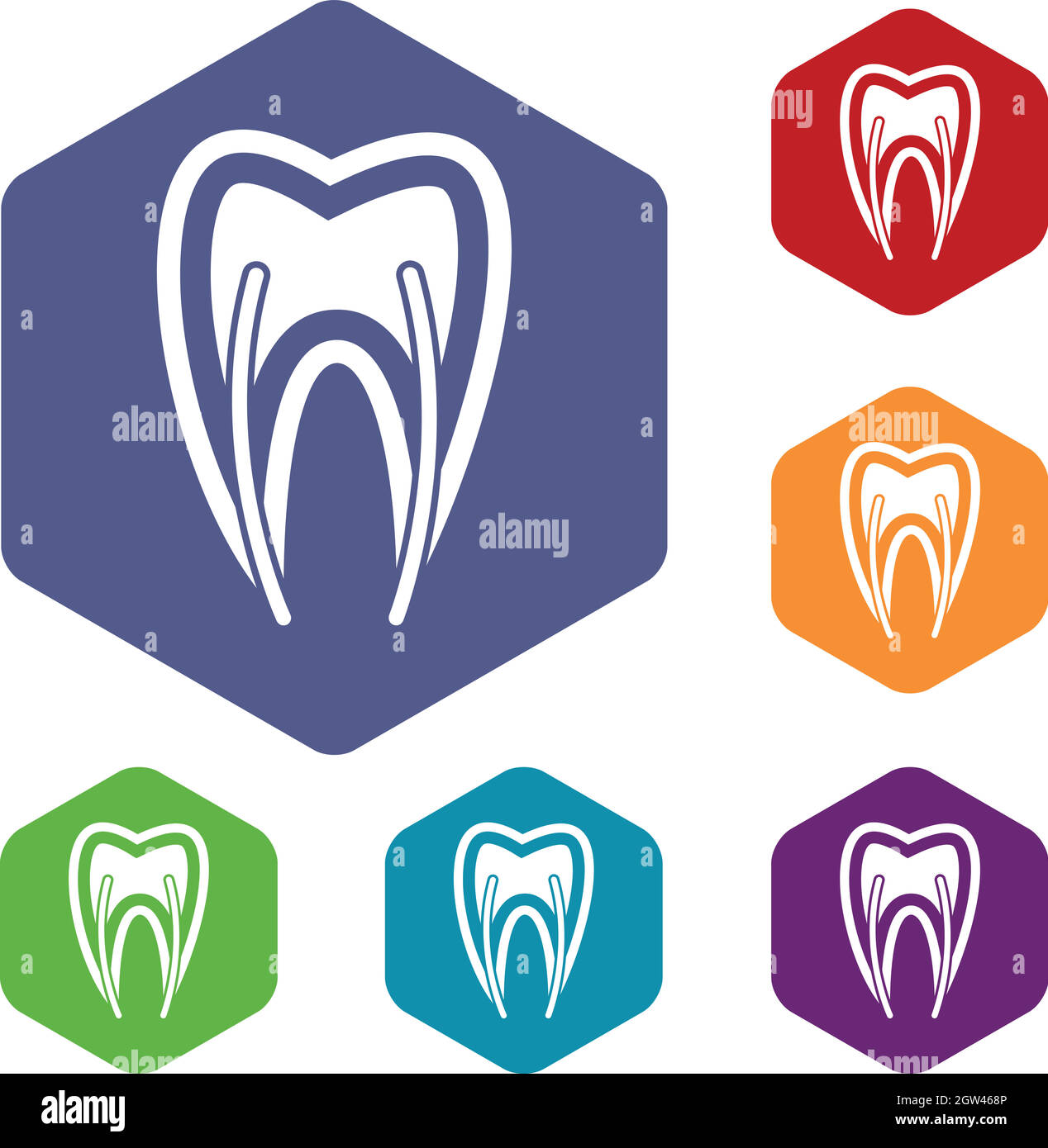 Tooth cross section icons set Stock Vector Image & Art - Alamy