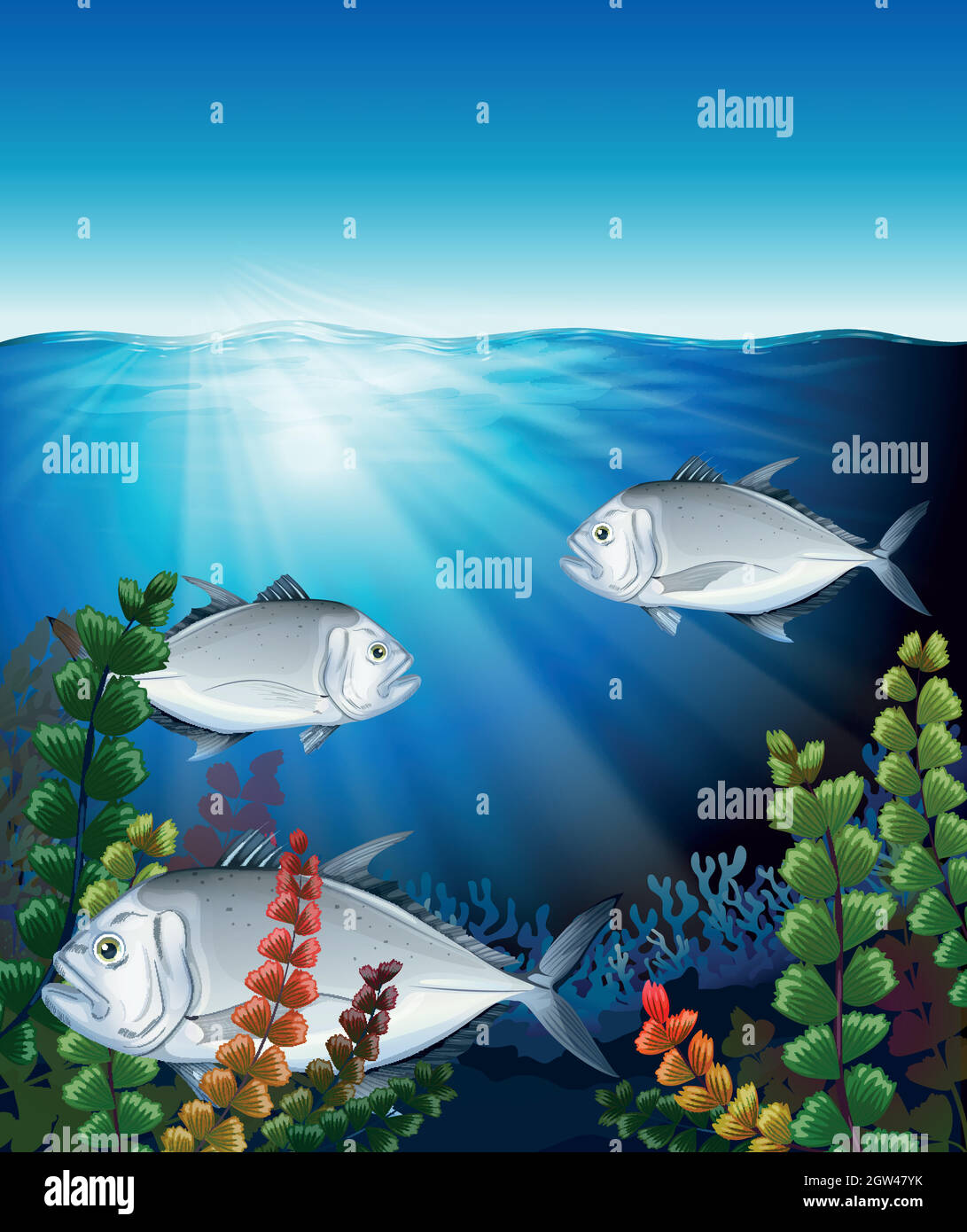Three fish swimming in the ocean Stock Vector Image & Art - Alamy