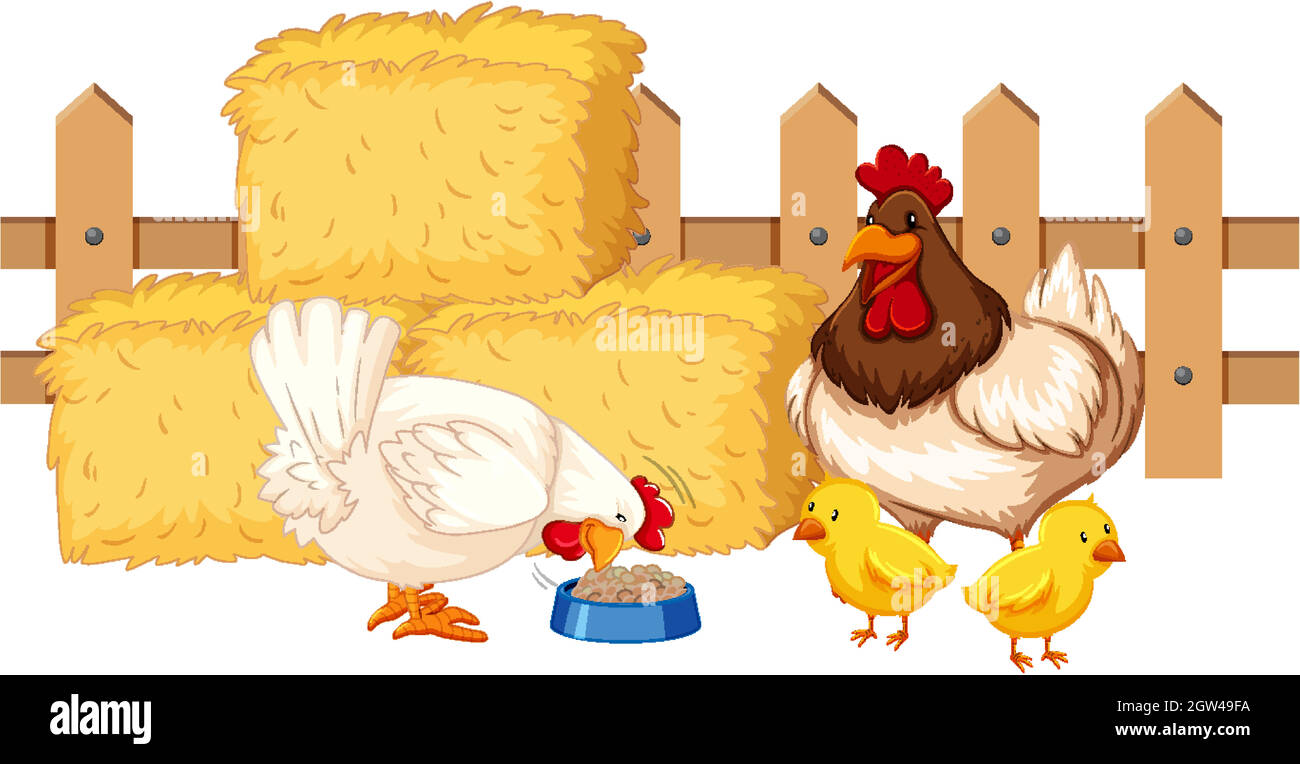 Scene with chickens eating on white background Stock Vector Image & Art ...