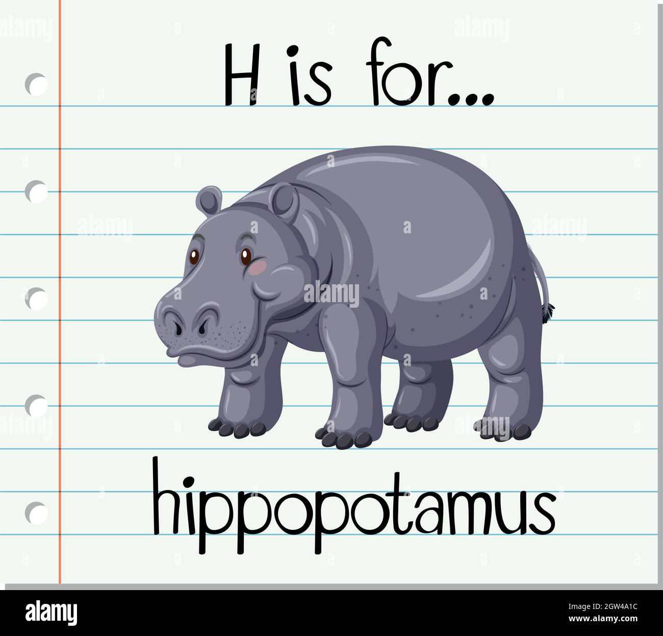 Flashcard letter H is for hippopotamus Stock Vector Image & Art - Alamy