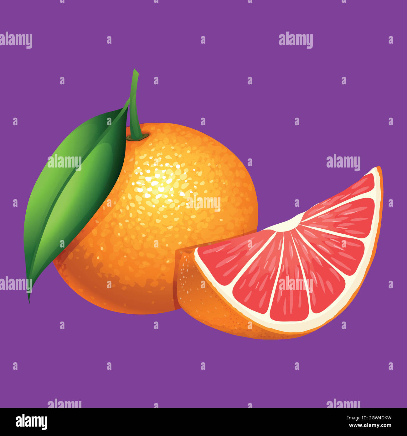 Grapefruit texture Stock Vector Images - Alamy