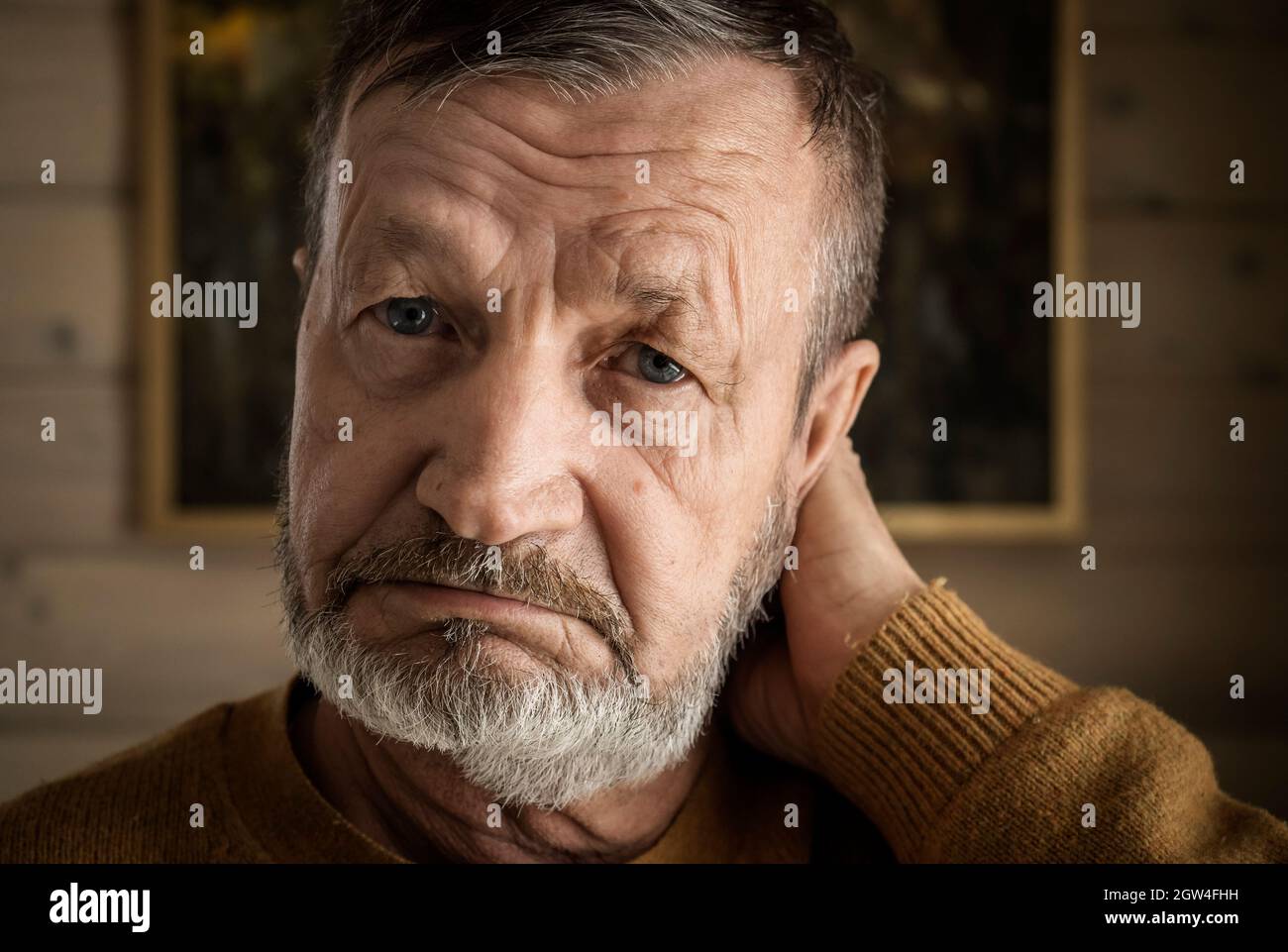 Bearded man face hi-res stock photography and images - Alamy