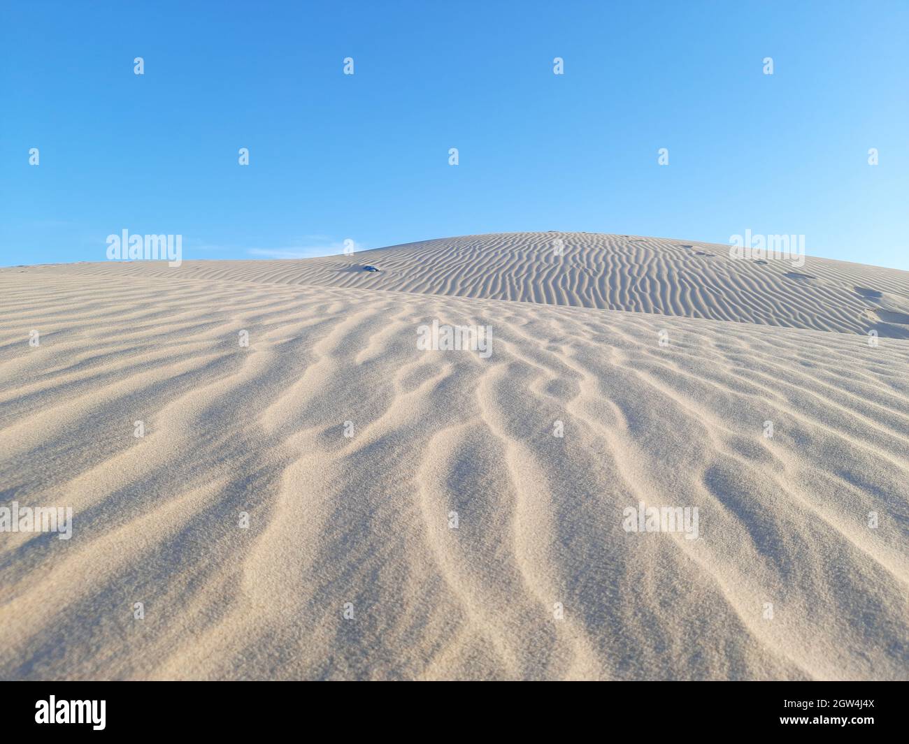 Algeria pattern hi-res stock photography and images - Alamy
