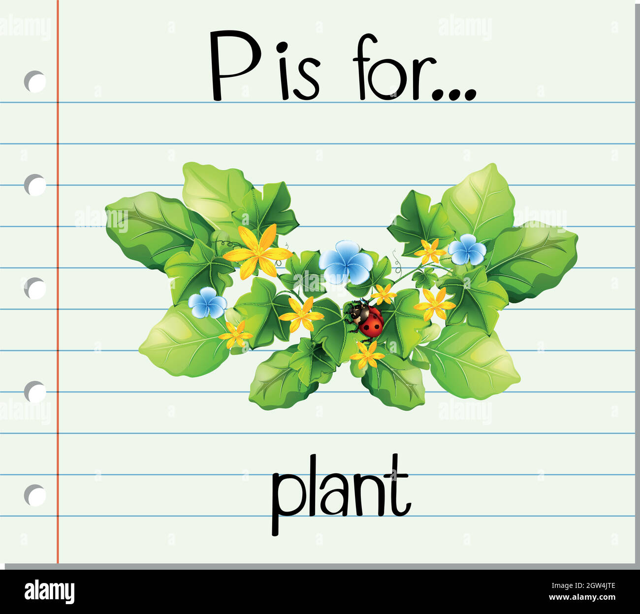 Letter p plant hi-res stock photography and images - Alamy