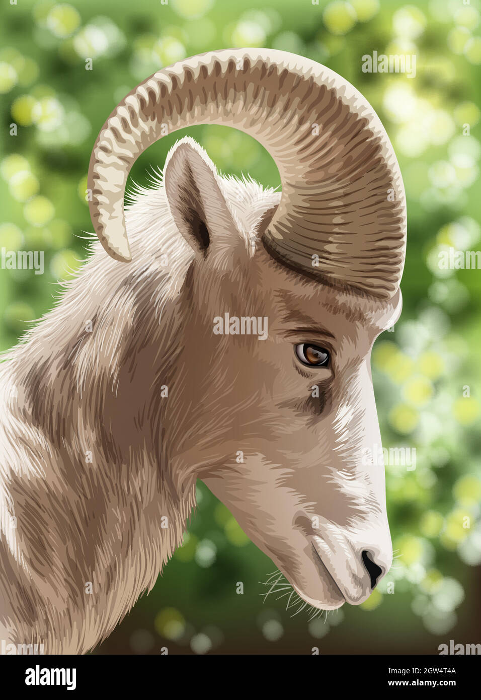 Rut image Stock Vector Images - Alamy