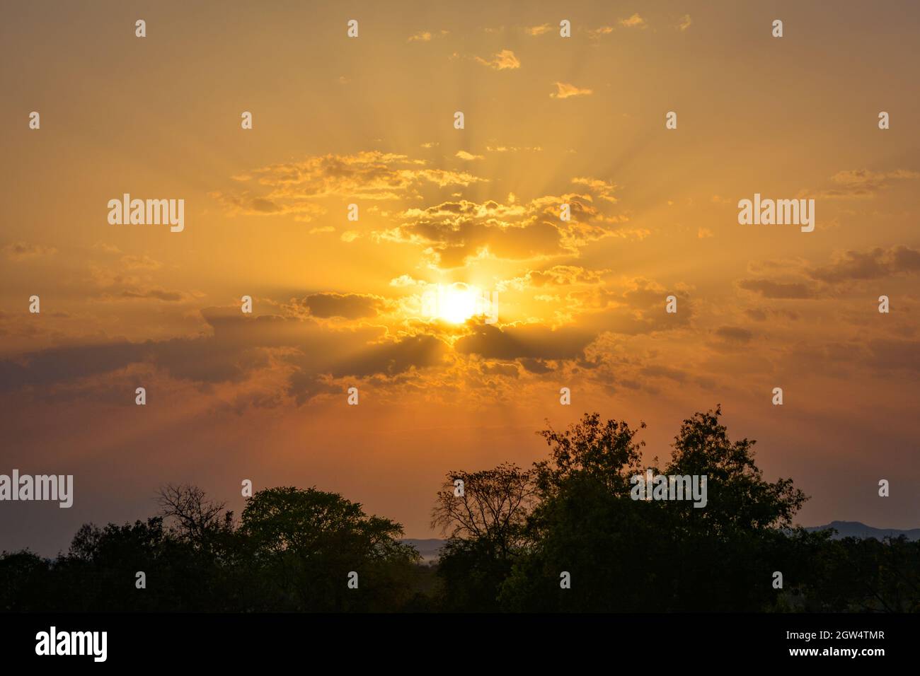Sunset with sun rays. Amazing summer sunset as a background Stock Photo ...
