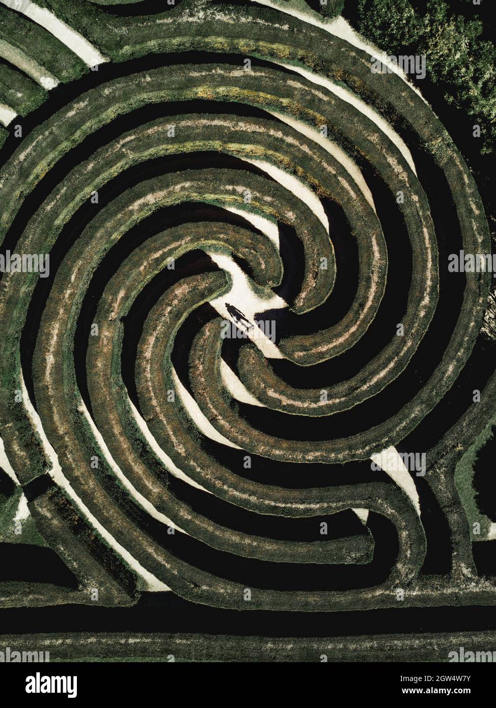Spiral hedge hi-res stock photography and images - Alamy