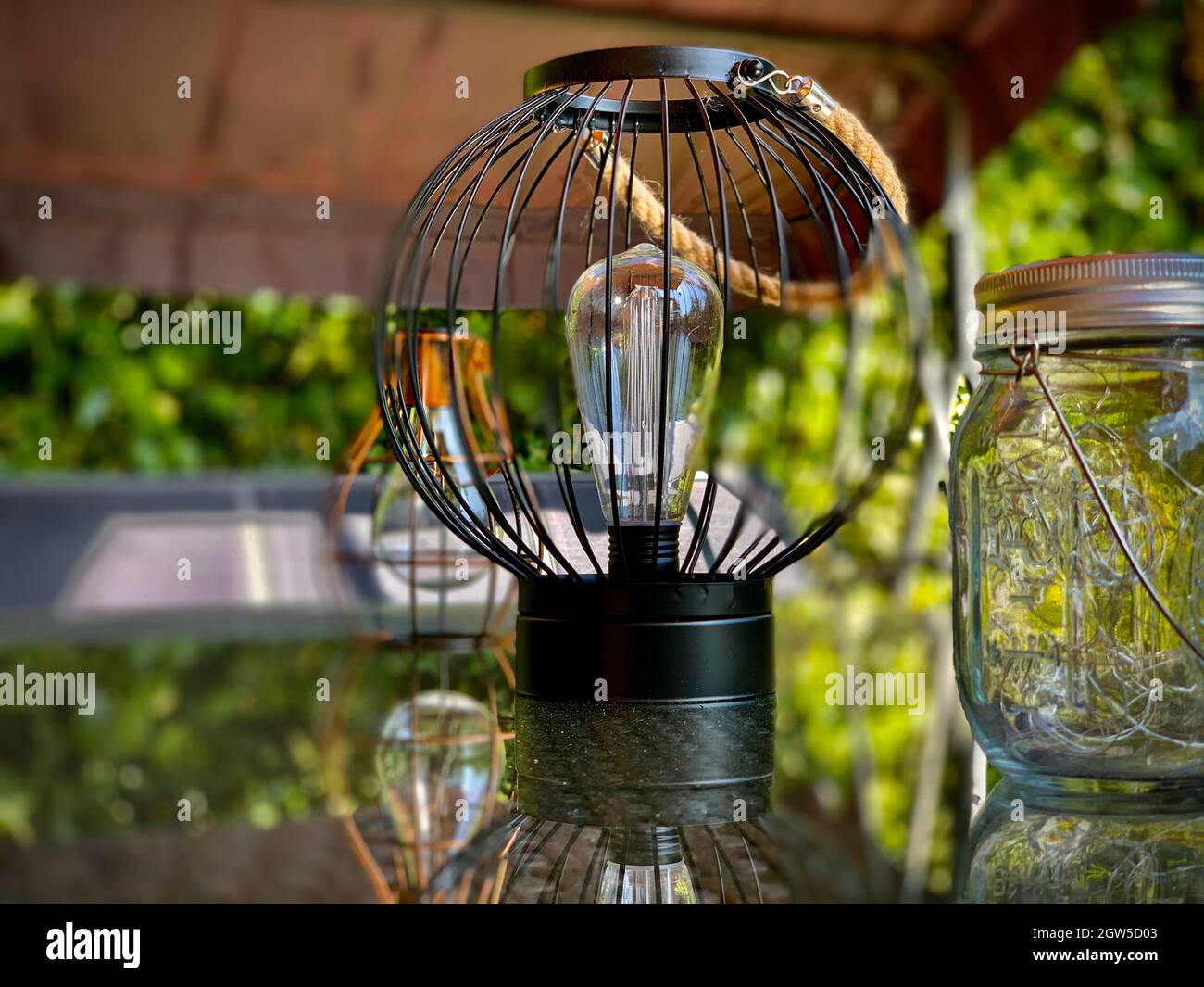 Plant bulb cage hi-res stock photography and images - Alamy