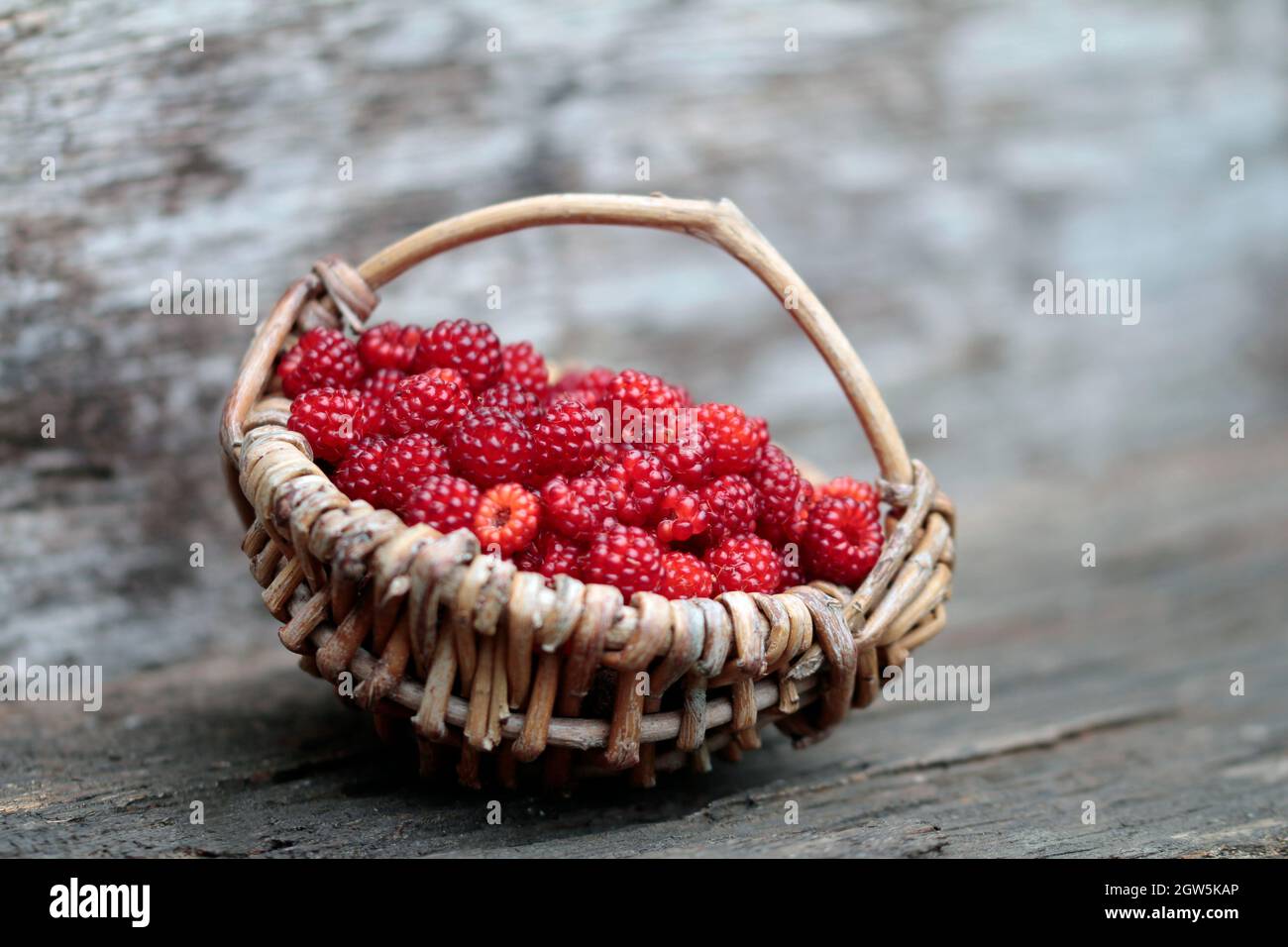 Japanese wine berries hi-res stock photography and images - Alamy