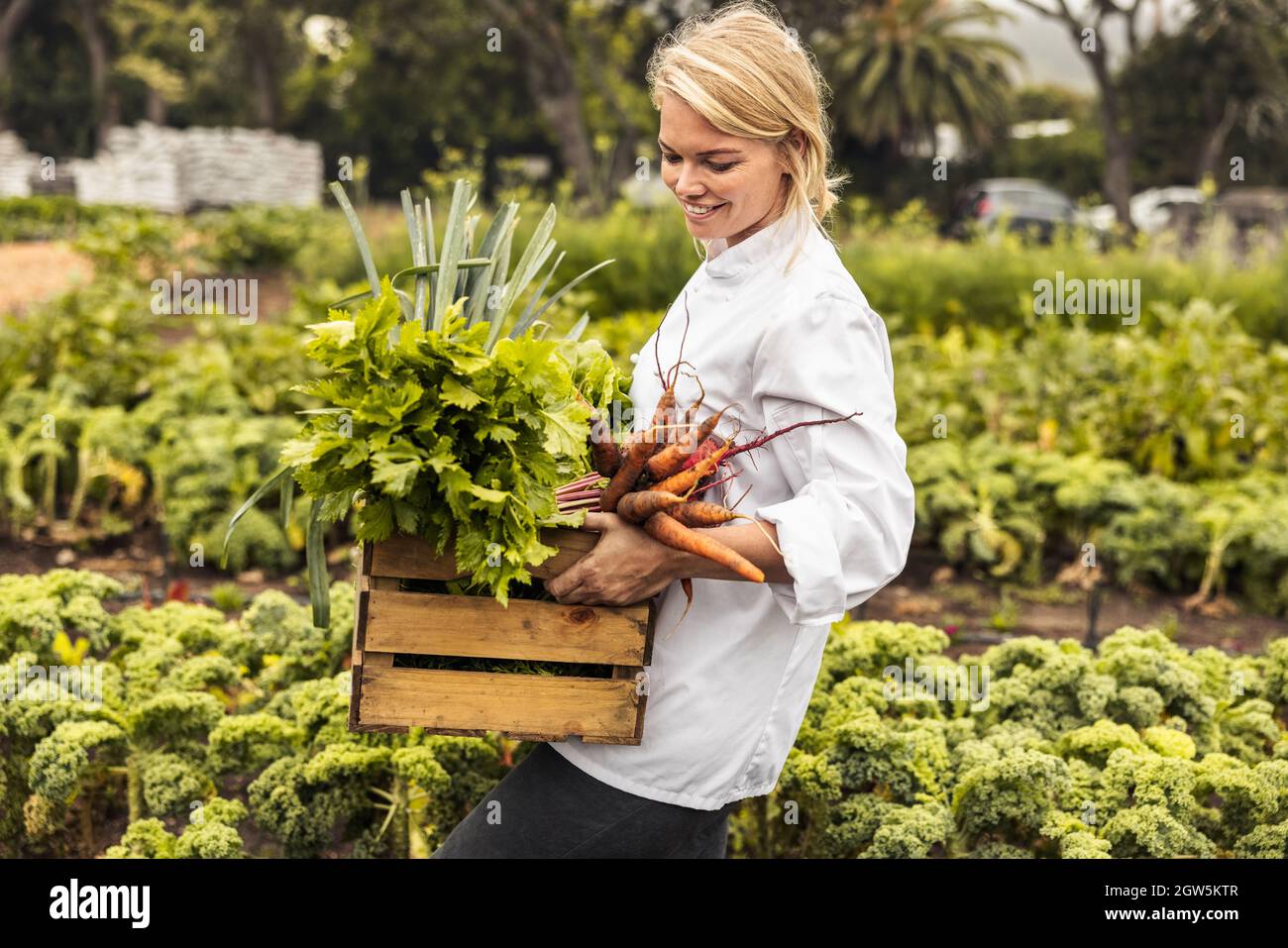Cheerful young chef carrying a crate full of freshly picked vegetables ...