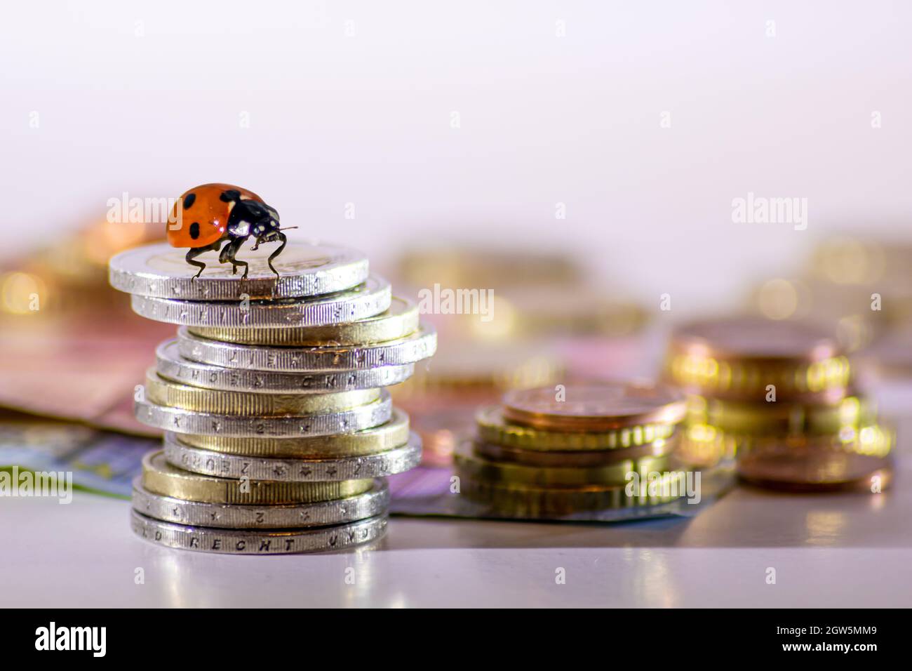 Ladybug and paper banknote hi-res stock photography and images - Alamy