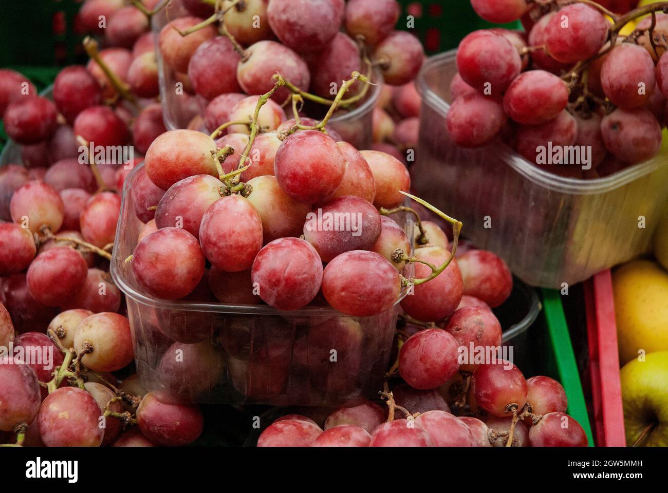 The Most Beautiful Grapes On The Market Stock Photo - Alamy
