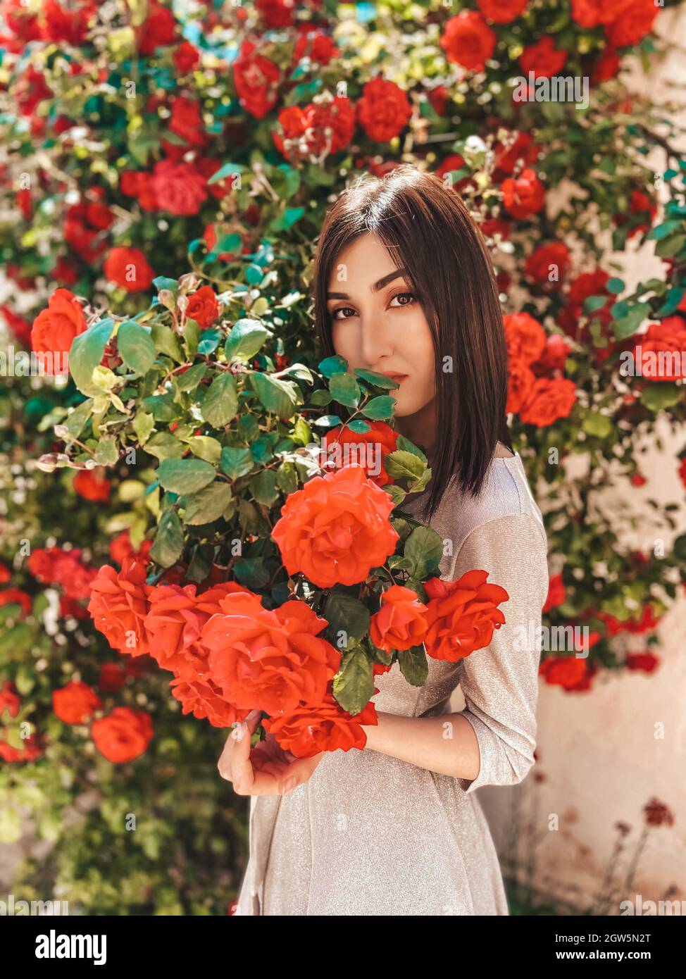 24 red roses hi-res stock photography and images - Alamy