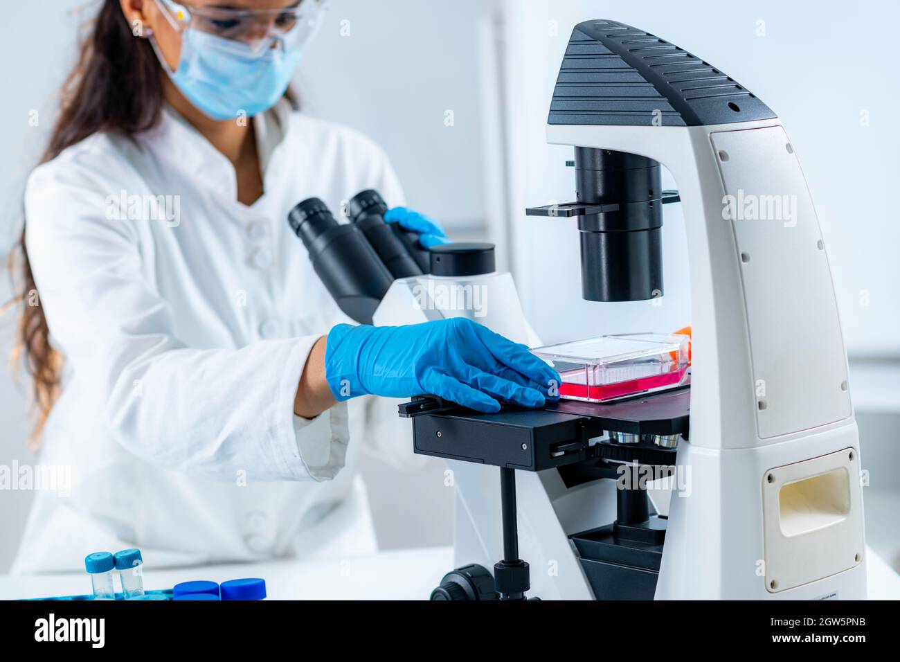 Placing on microscope hi-res stock photography and images - Alamy