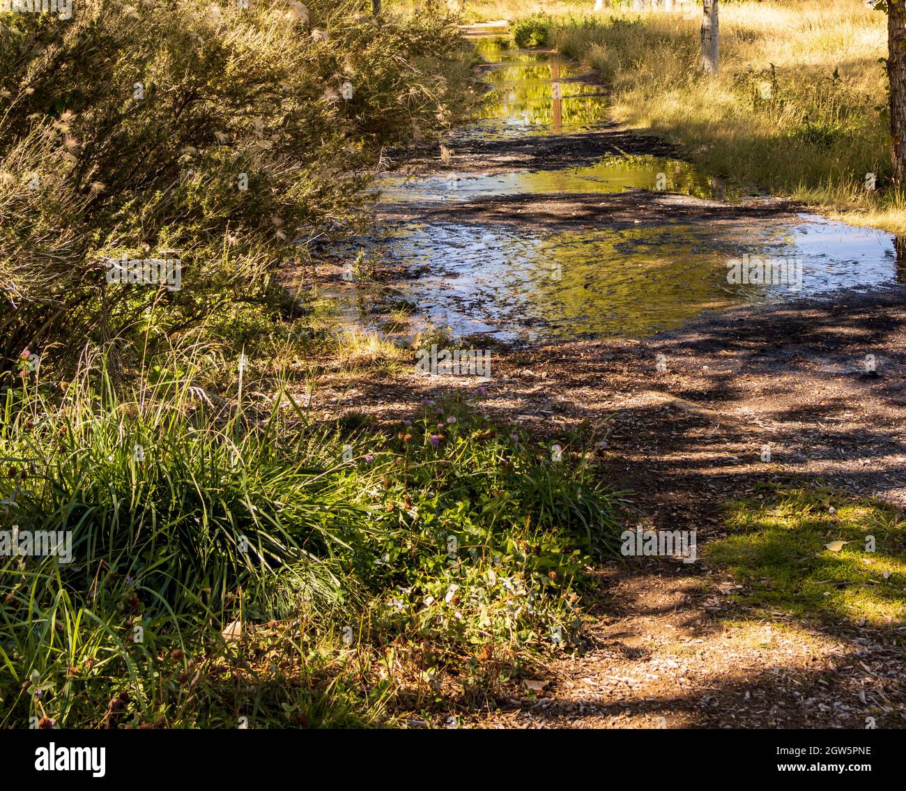 Reflective ponds hi-res stock photography and images - Alamy
