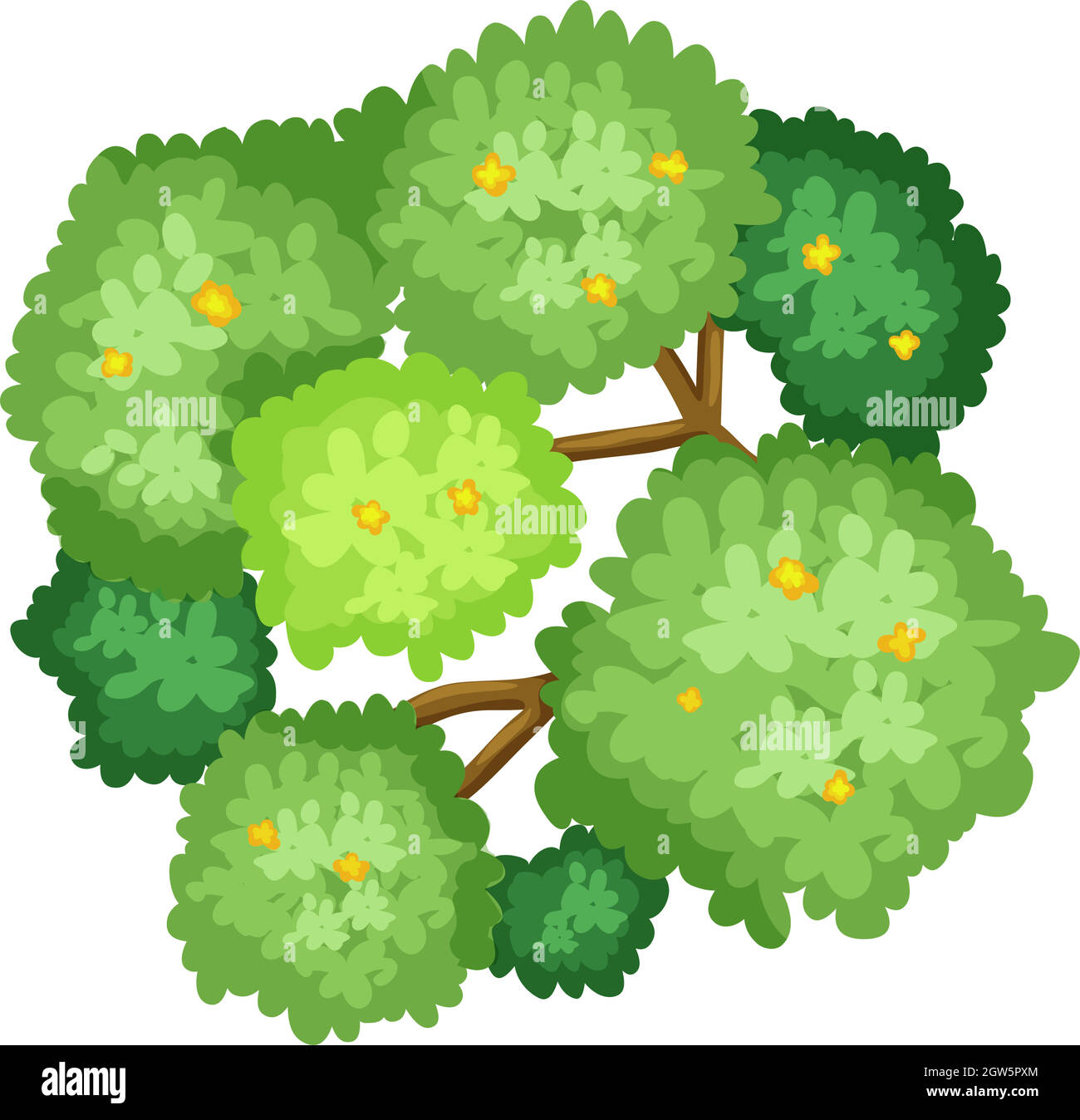 Tree topview Cut Out Stock Images & Pictures - Alamy