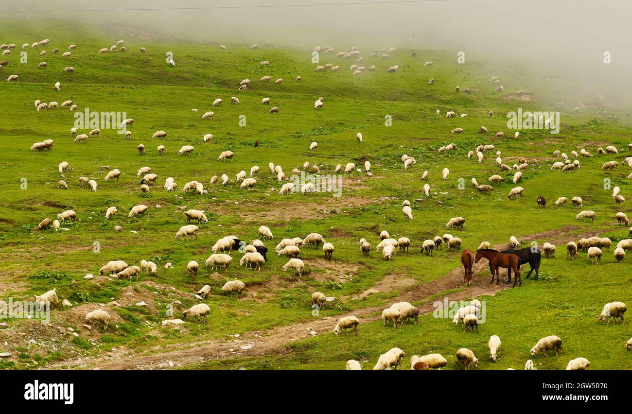 Stepantsminda a hill hi-res stock photography and images - Alamy