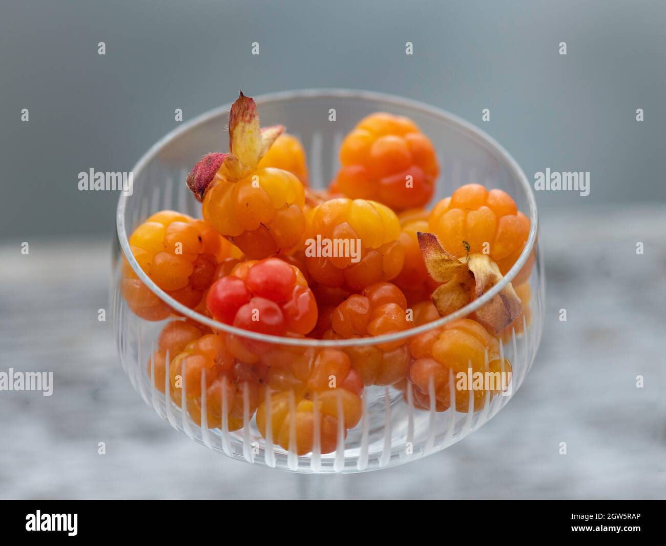 Cloudberries plant hi-res stock photography and images - Alamy