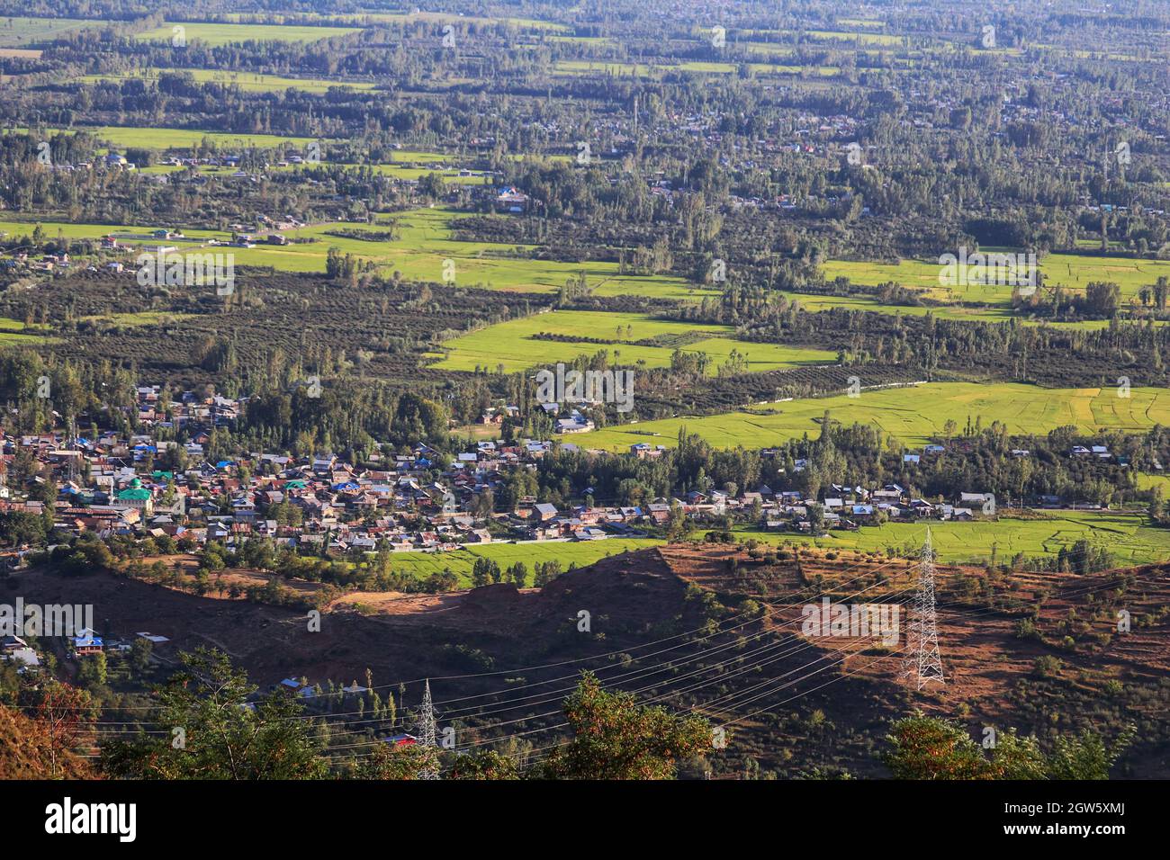 Aerial view of rice field india hi-res stock photography and images - Alamy