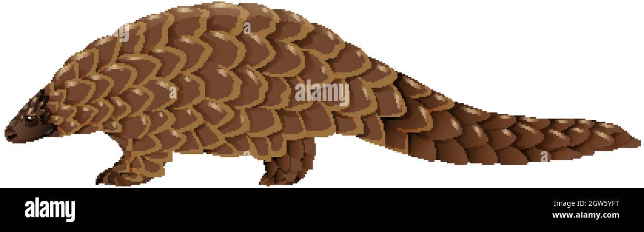 Pangolin Wallpaper