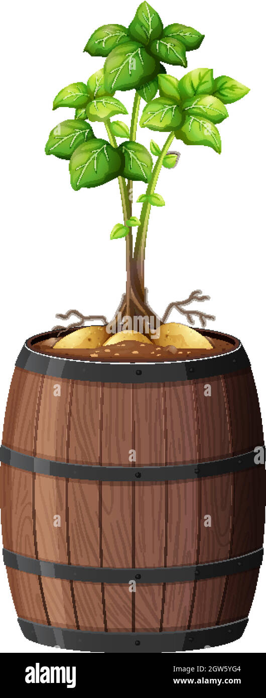 Stem leaves on white Stock Vector Images - Alamy