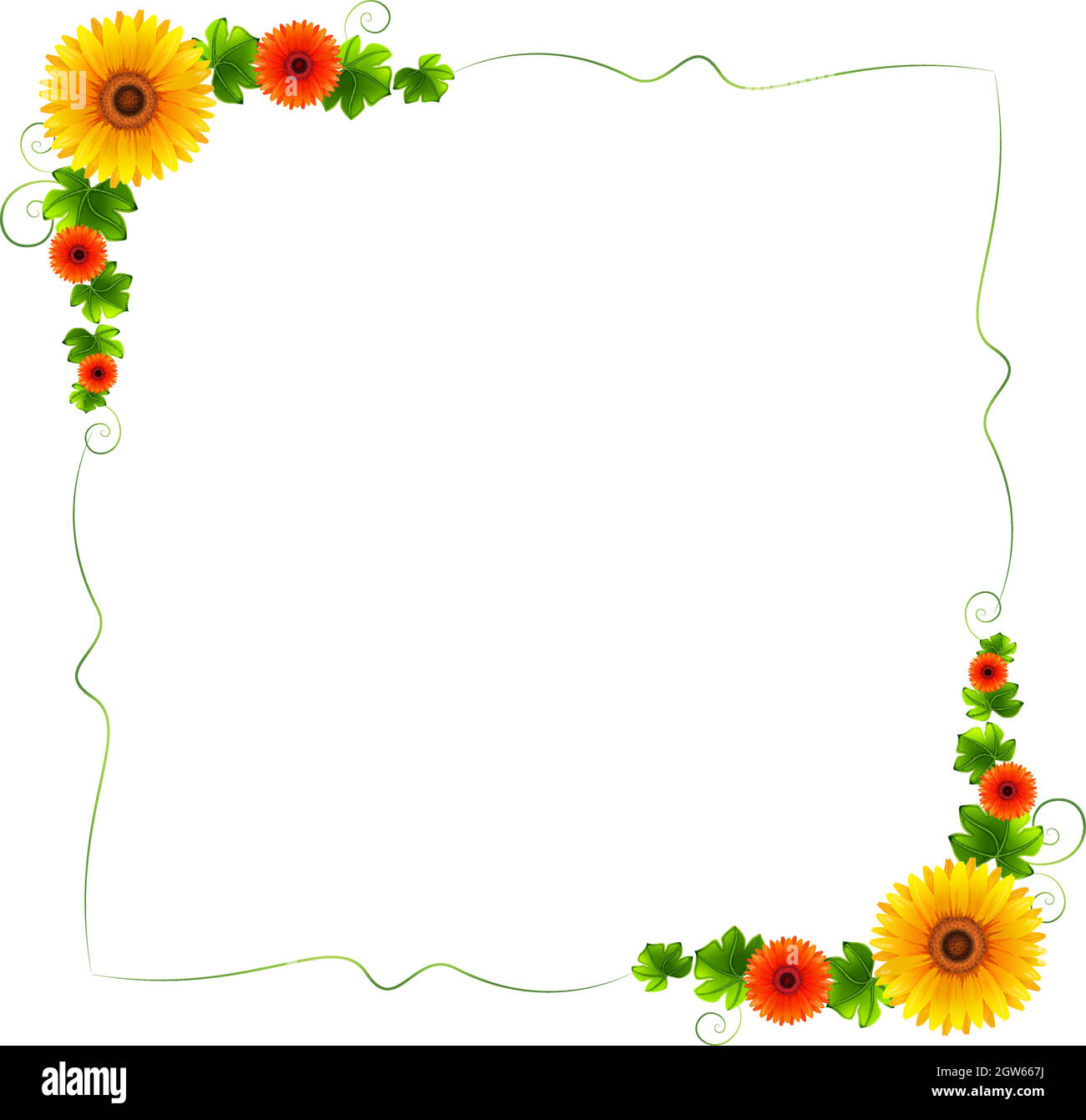 Colorful Flower Border