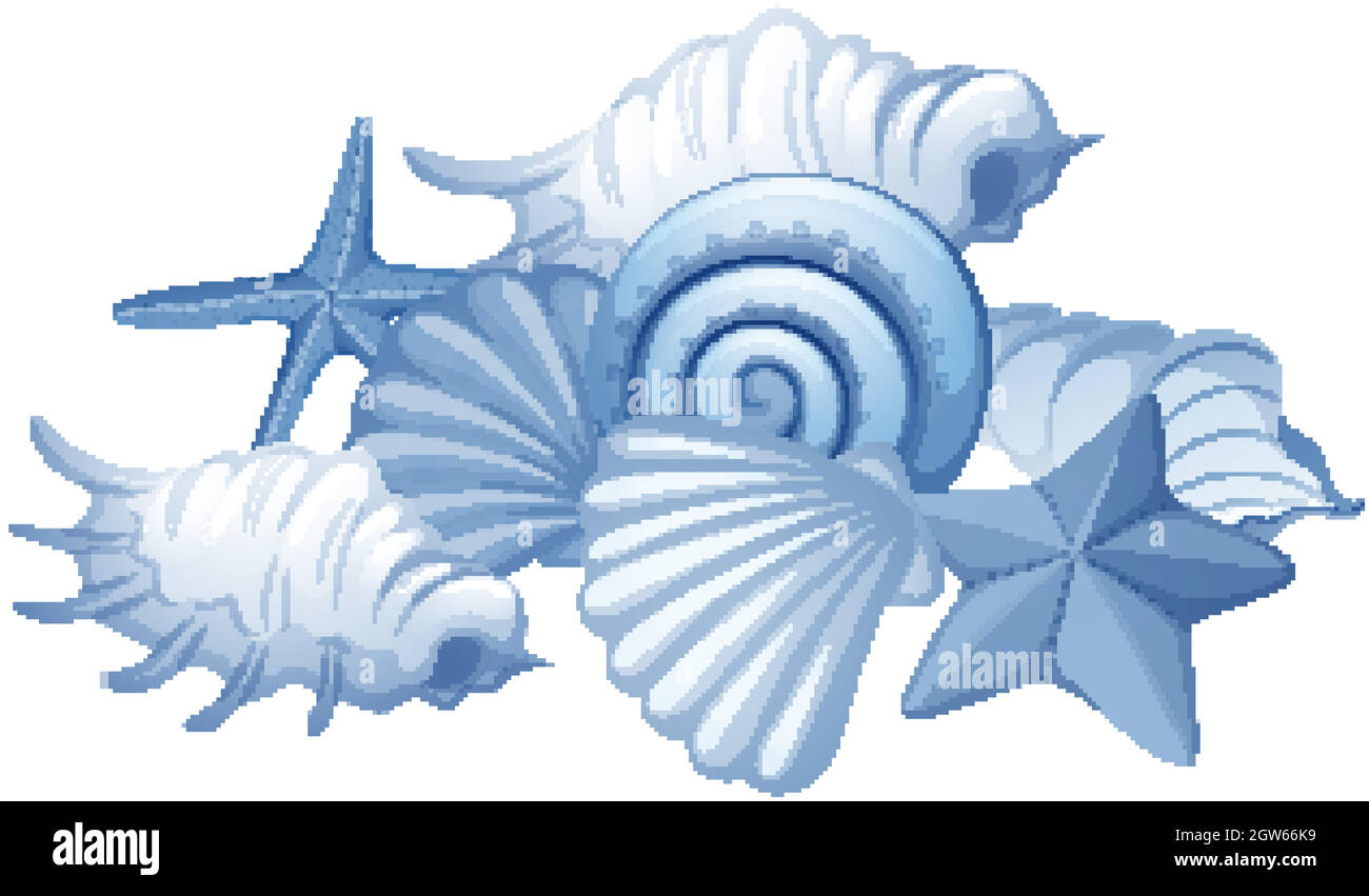 Different types of seashells on white background Stock Vector Image ...