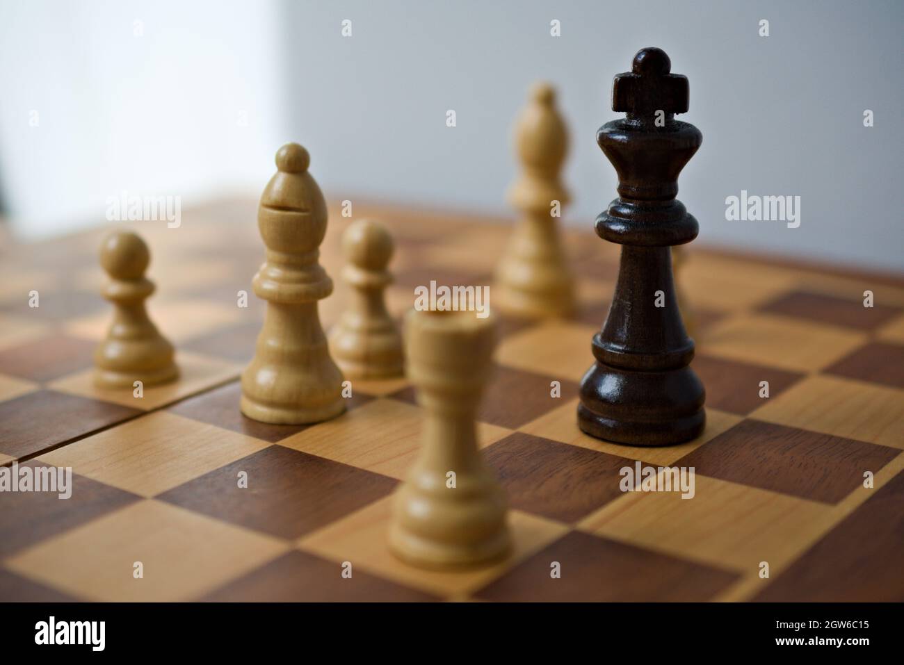 King surrounded High Resolution Stock Photography and Images - Alamy
