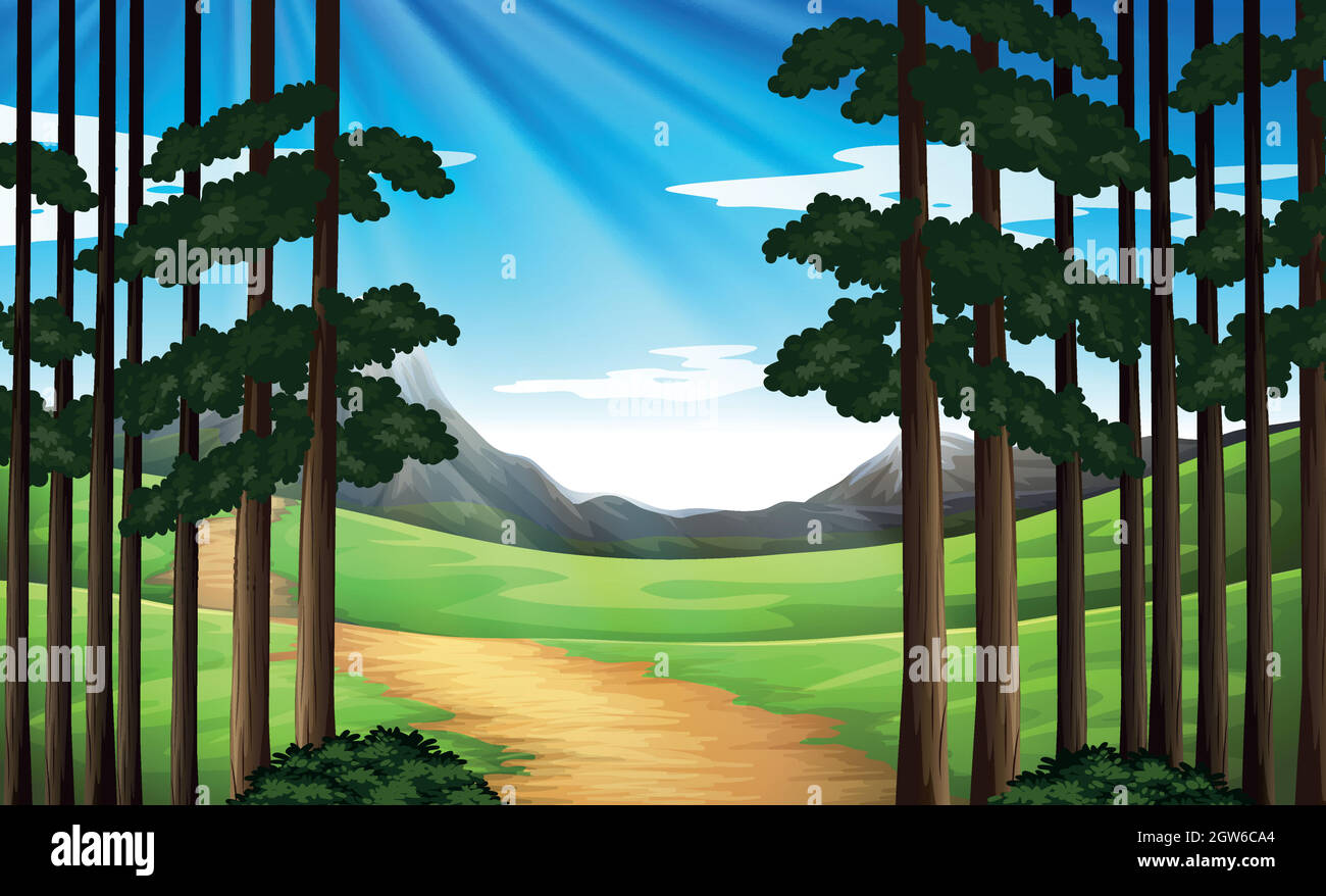 Background scene with hiking track in forest Stock Vector Image & Art ...