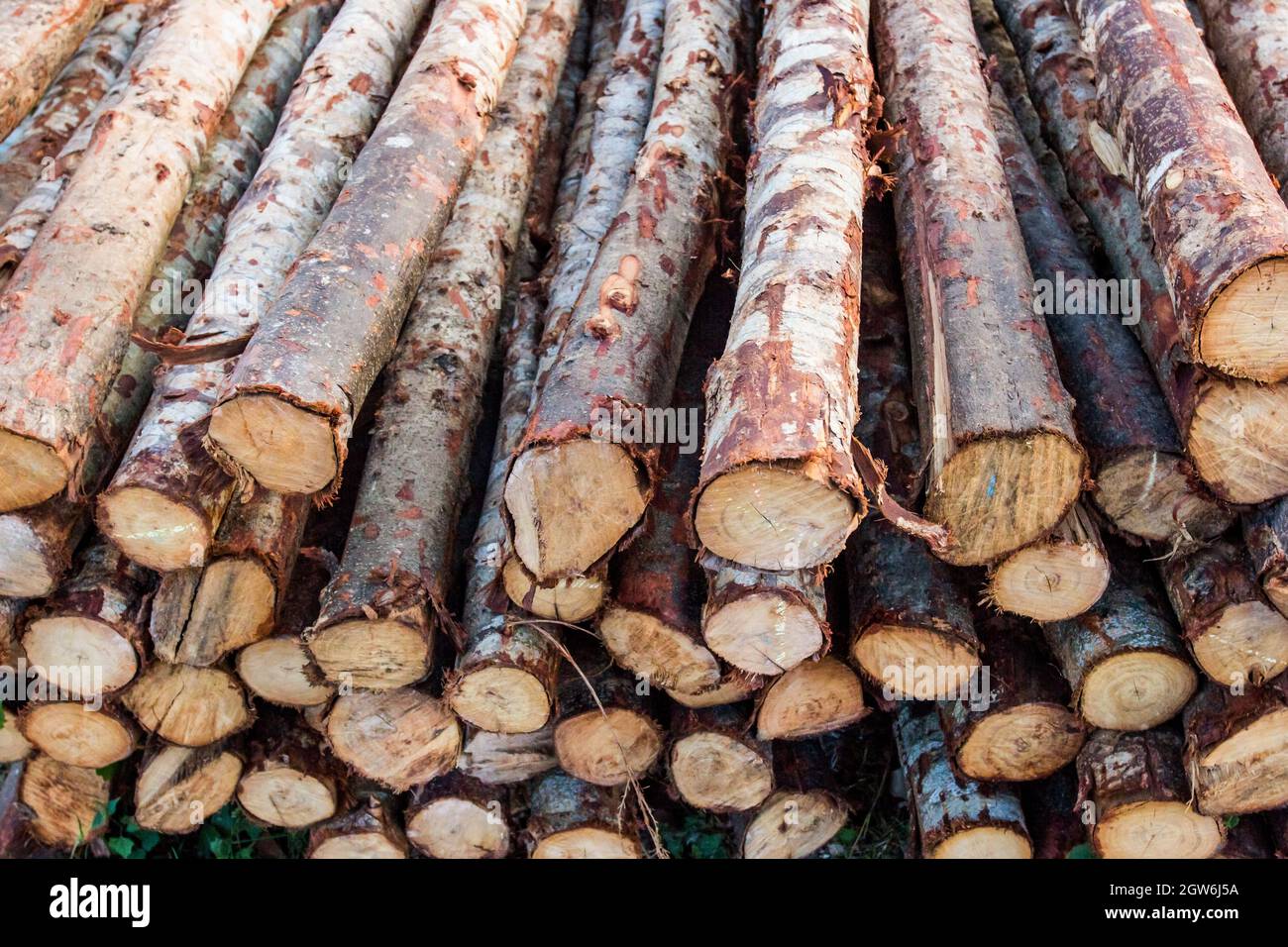 Discoloration Of Wood High Resolution Stock Photography and Images - Alamy