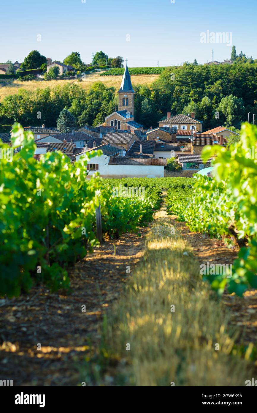 Saint julien aoc hi-res stock photography and images - Alamy