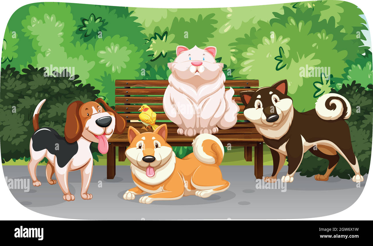 Cat on garden bench Stock Vector Images - Alamy