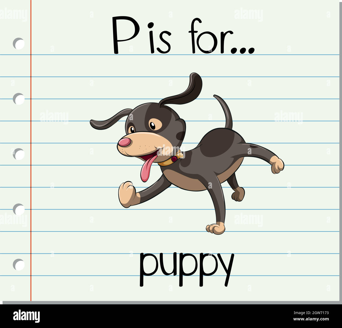 Flashcard letter P is for puppy Stock Vector Image & Art - Alamy