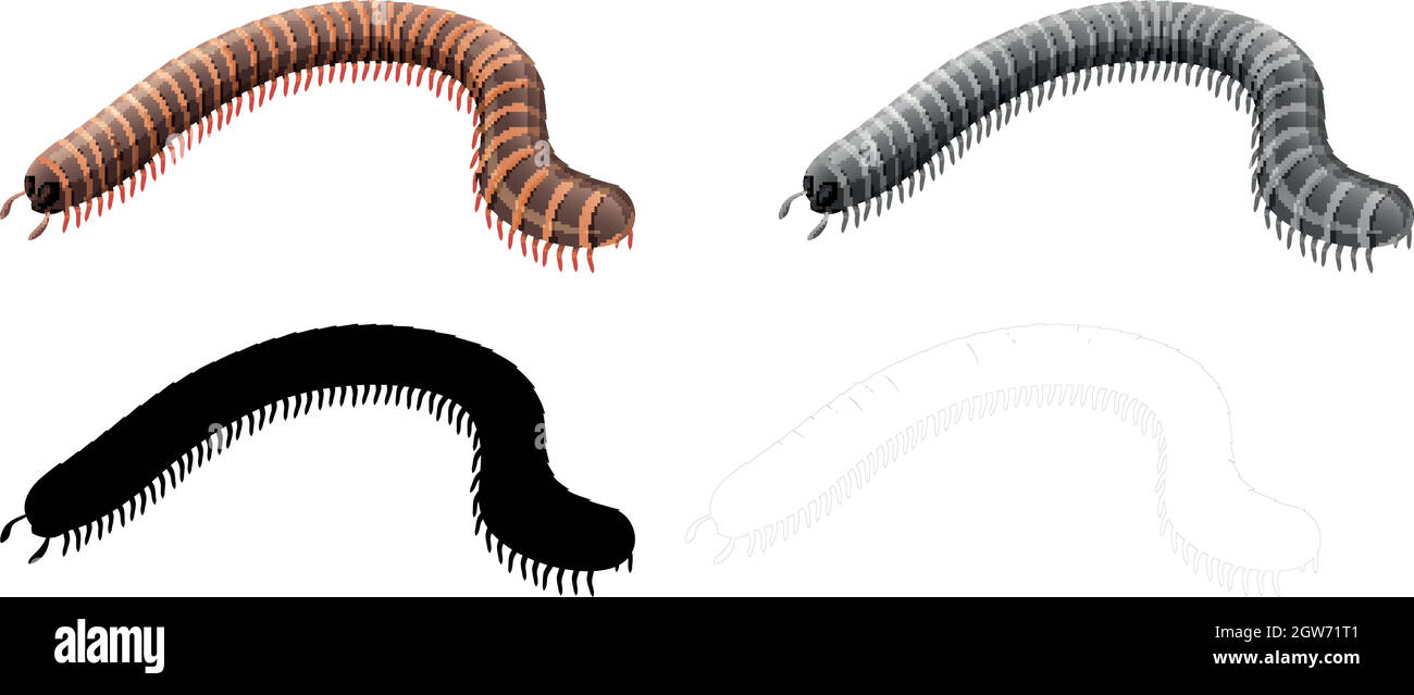 Millipede Cartoon Character High Resolution Stock Photography and ...