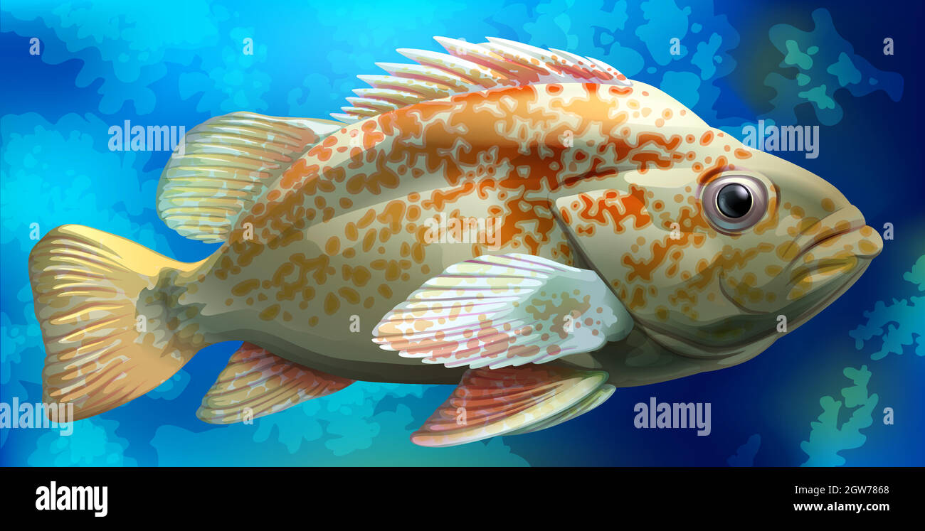 Live fish swimming Stock Vector Images - Alamy