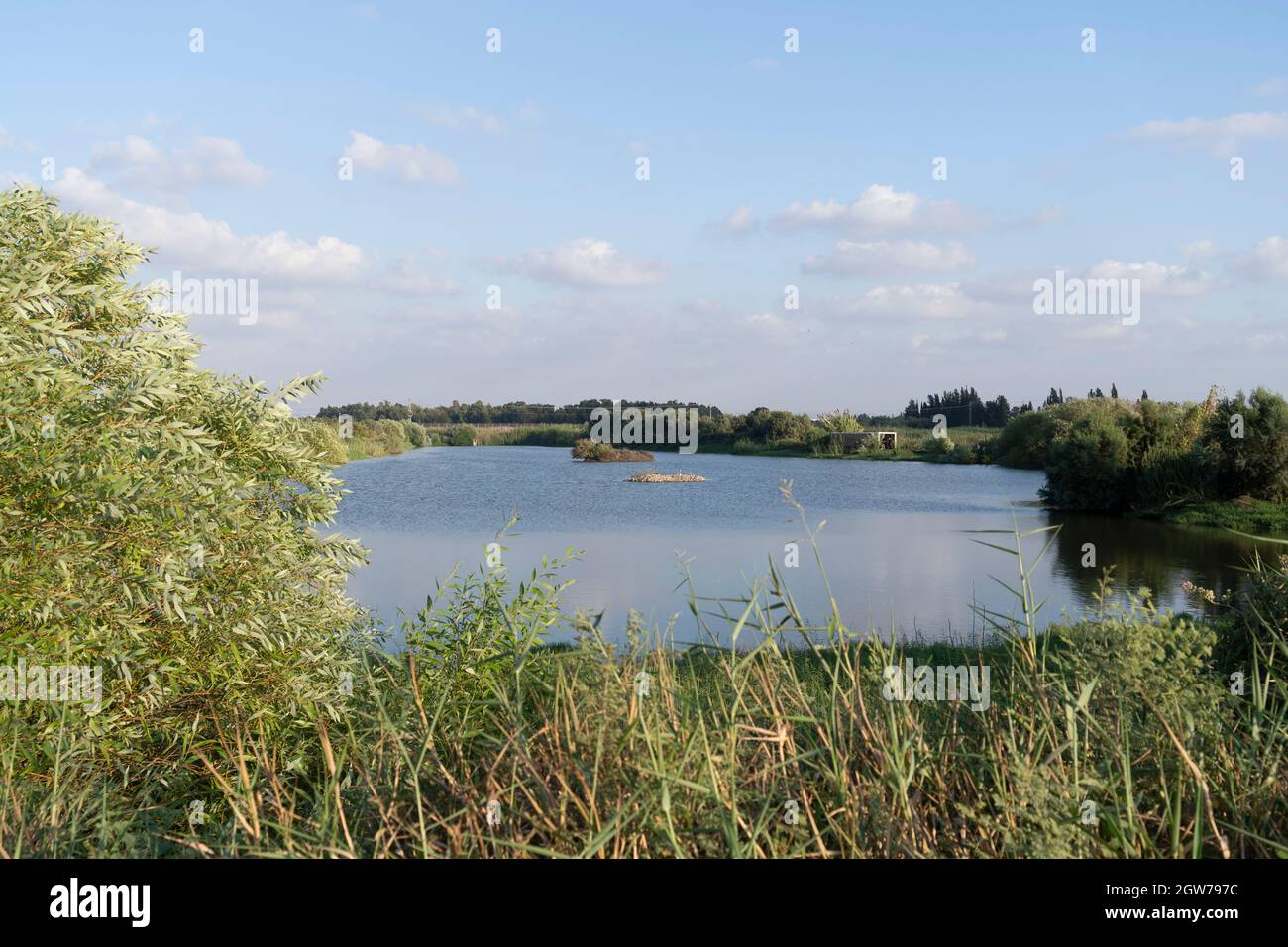 Hefer hi-res stock photography and images - Alamy