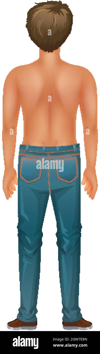 Human back illustration hi-res stock photography and images - Alamy