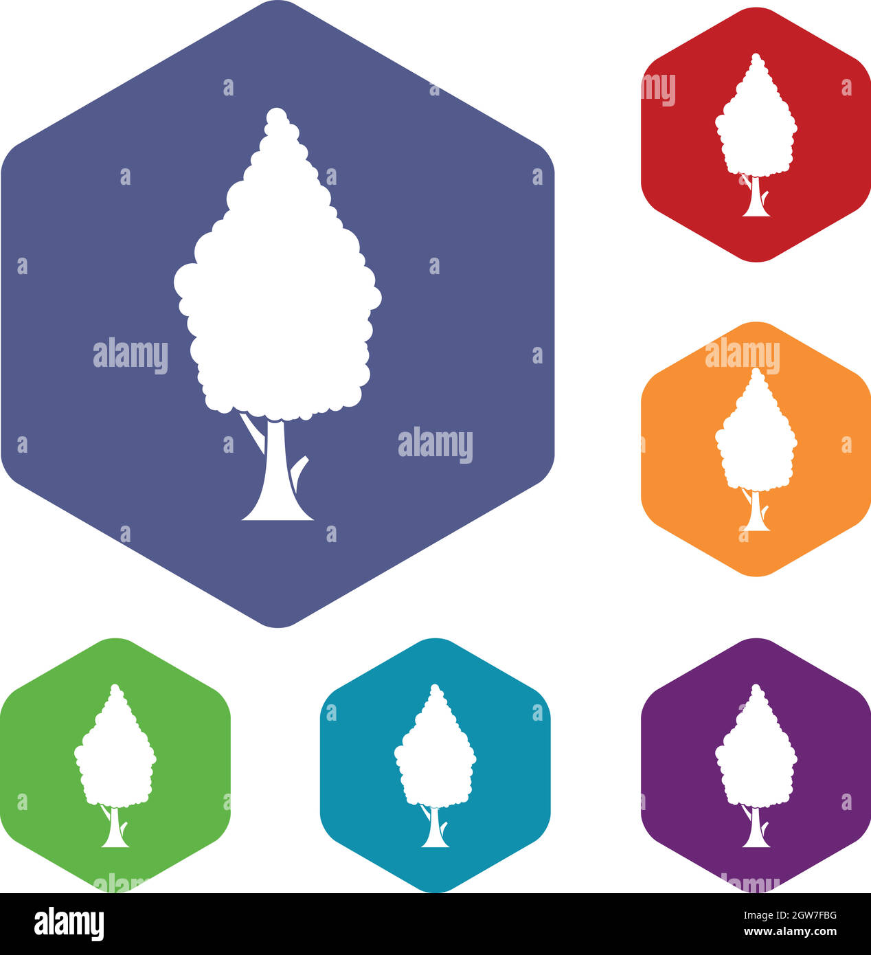 Cypress tree cypress tree Stock Vector Images - Alamy