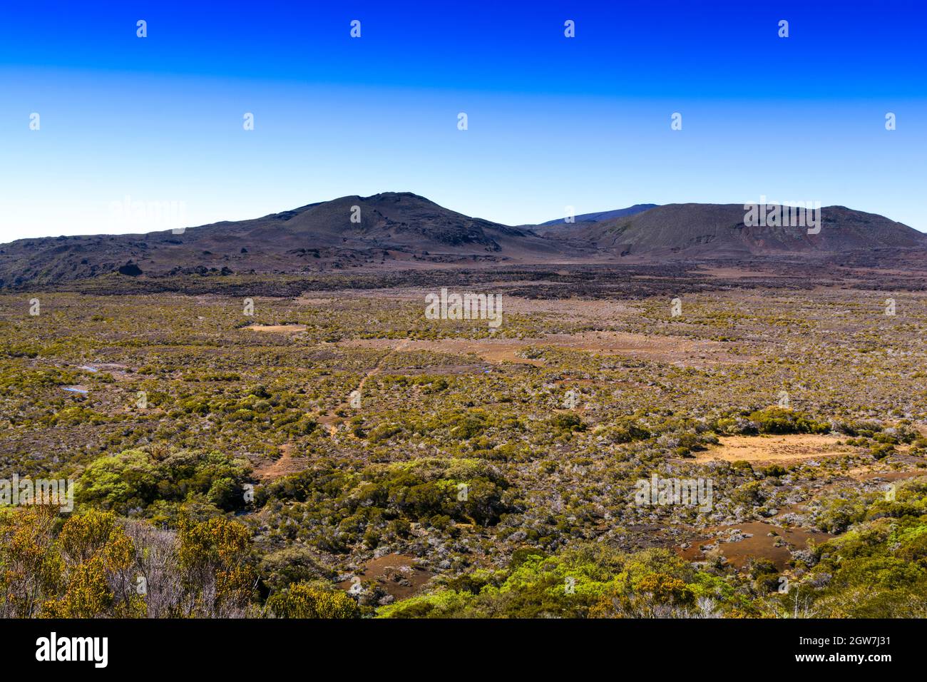 Piton island hi-res stock photography and images - Alamy