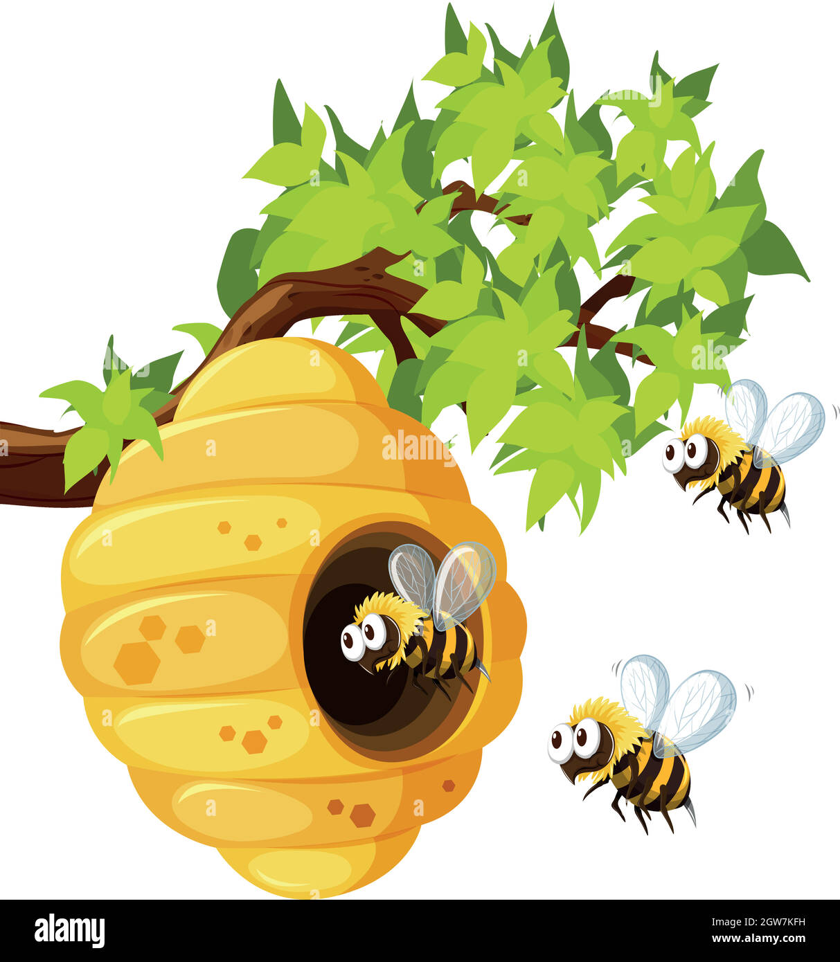 Tropical flying insect hi-res stock photography and images - Alamy