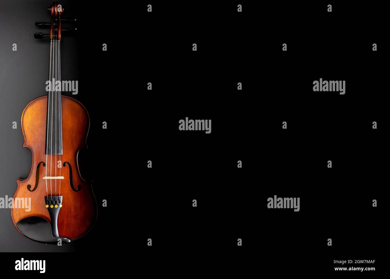 Violin snail hi-res stock photography and images - Alamy