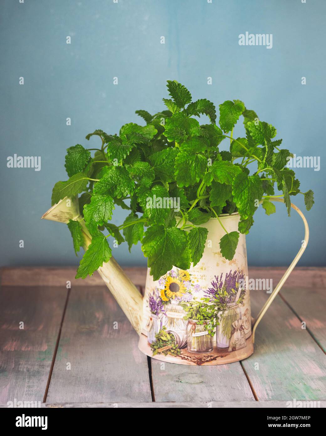 A Bunch Of Fresh Pulp In A Decorative Garden Watering Can Standing O ...