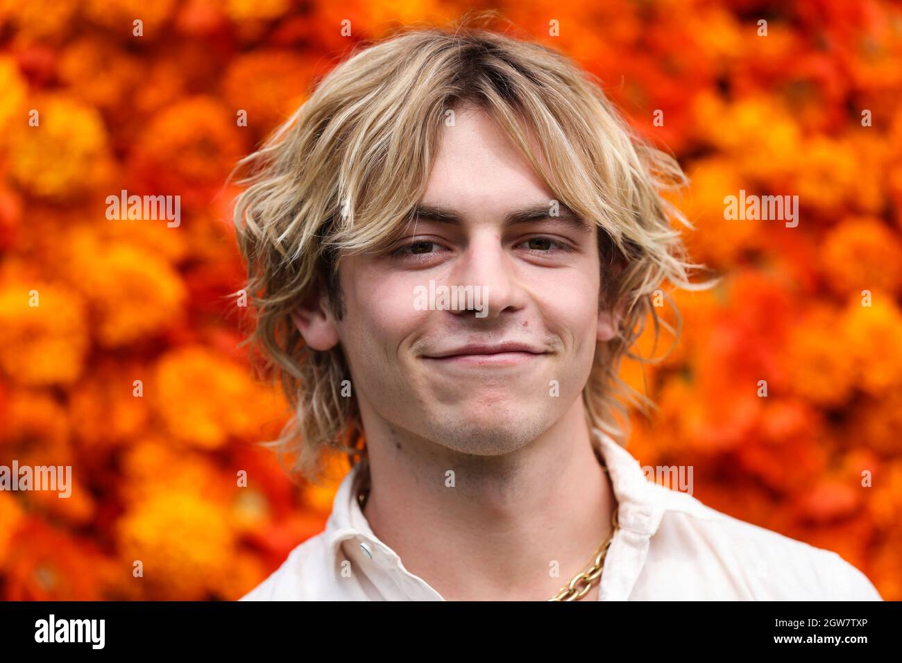 Ross Lynch Brown Hair