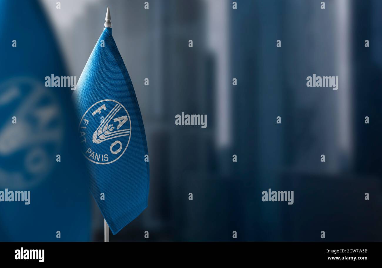 Fao flag hi-res stock photography and images - Alamy