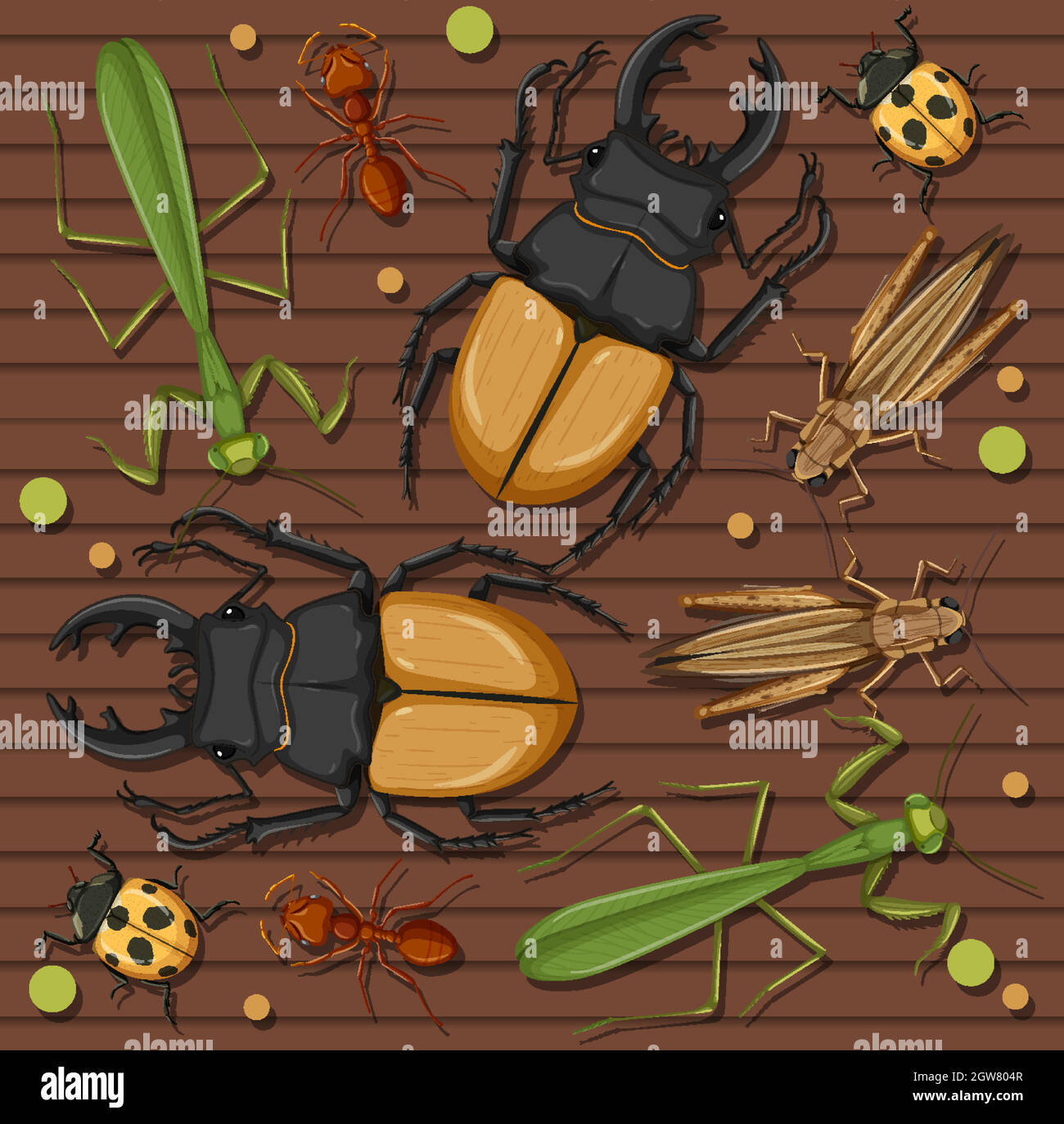 Set of different insects on wooden wallpaper background Stock Vector ...