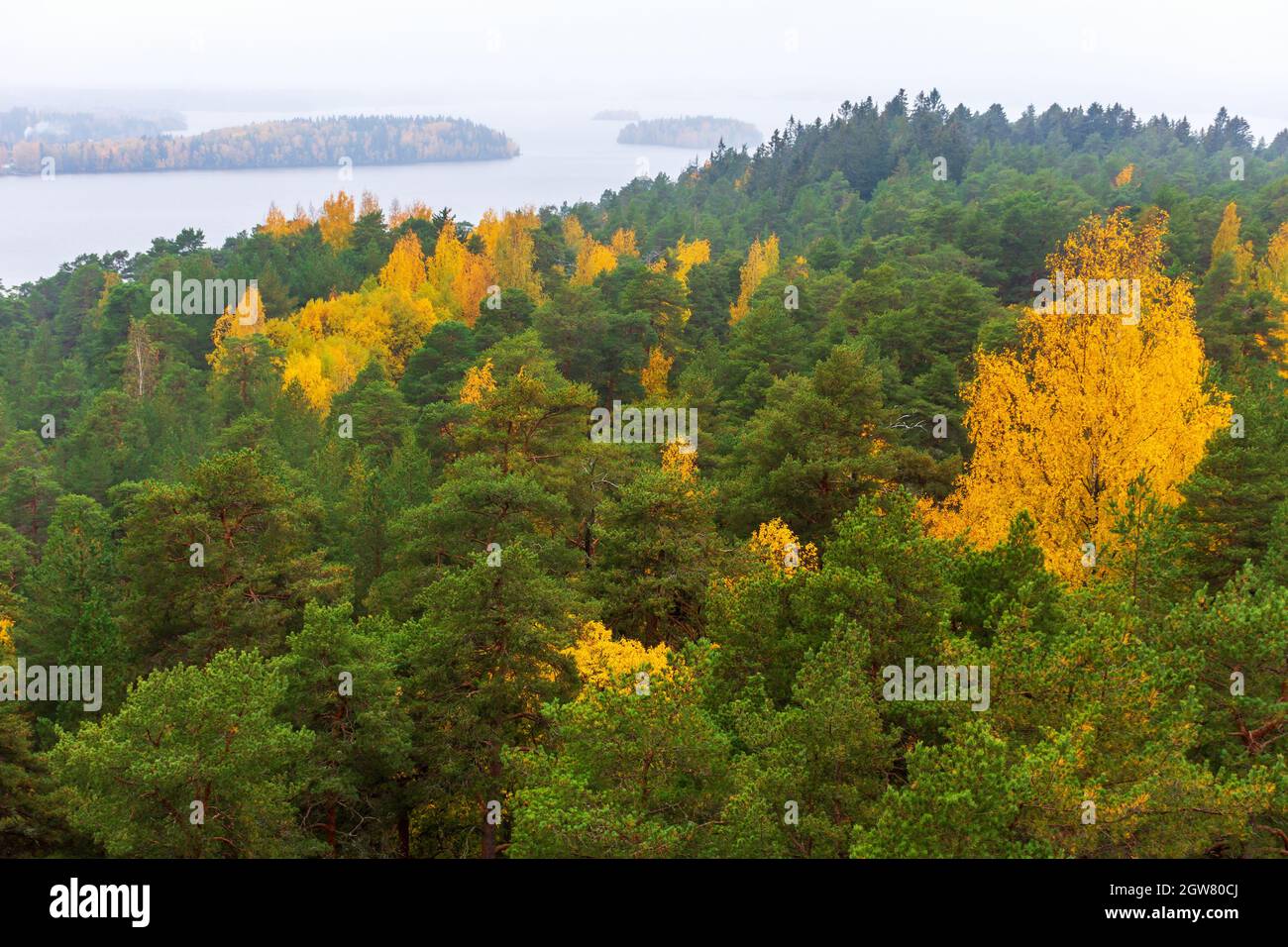 Autumnal colours from Pyynikki sightseeing tower in Tampere Finland ...