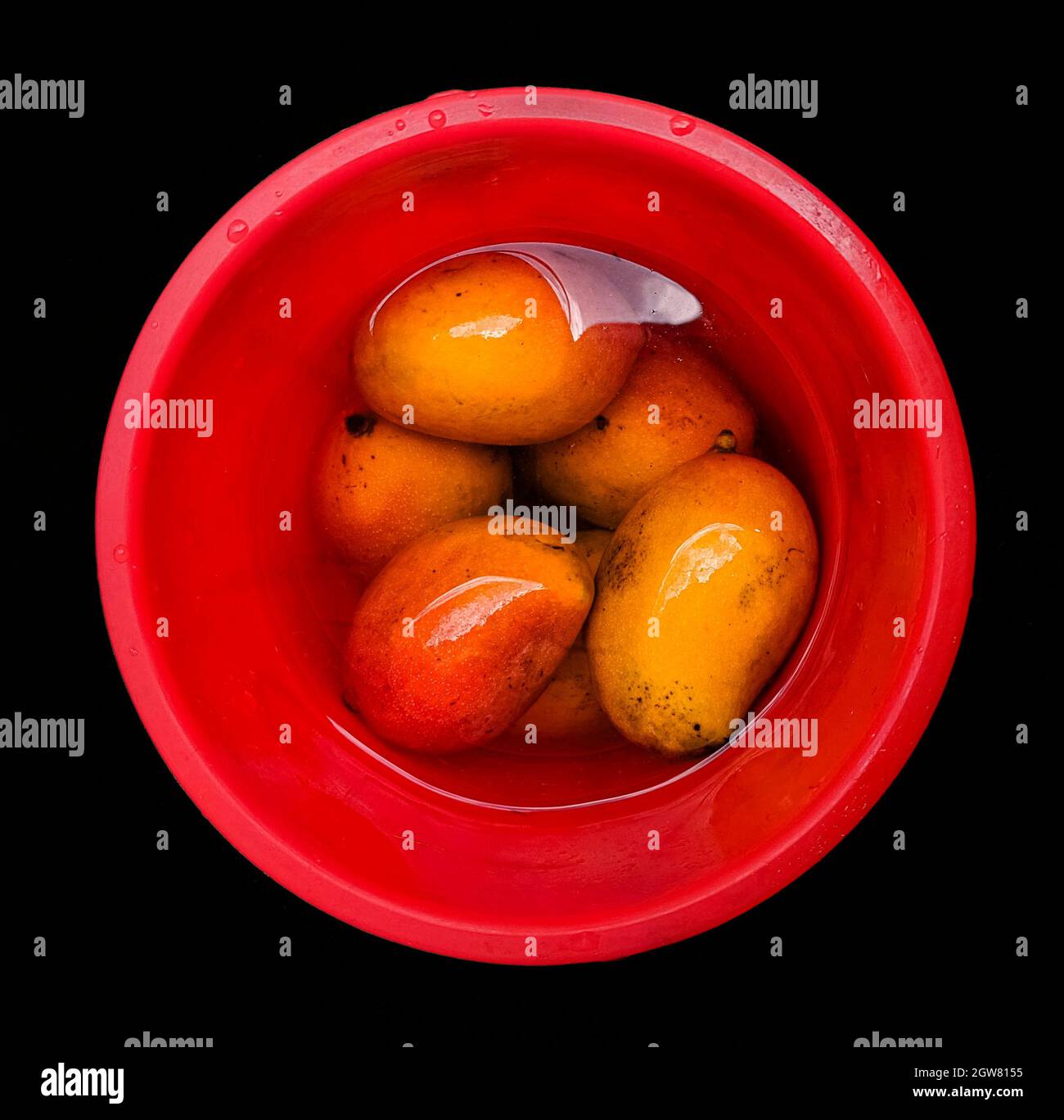 Watering fruit plant in container hi-res stock photography and images ...
