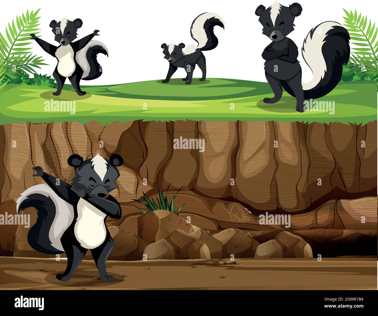 Group of skunk in nature Stock Vector Image & Art - Alamy