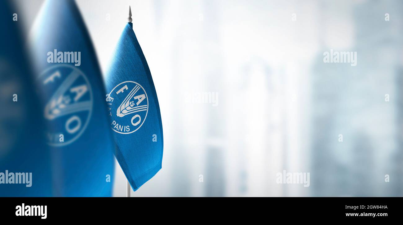Fao flag hi-res stock photography and images - Alamy
